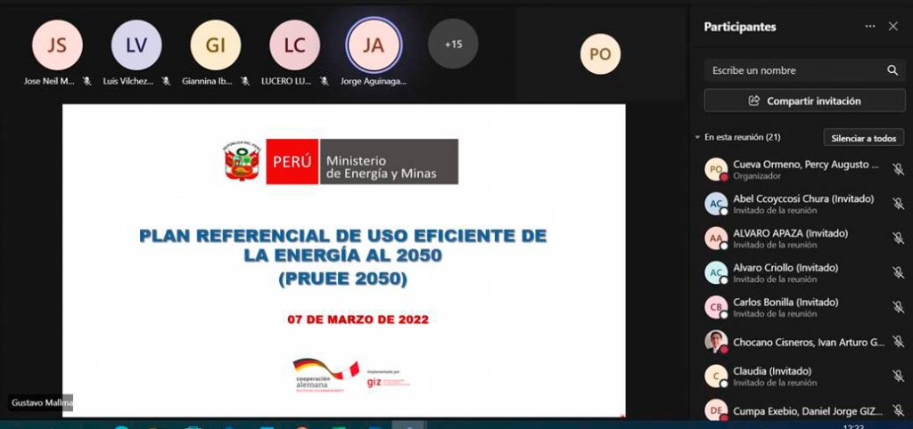 Trabajando por el uso eficiente de la energía a 2050 – Distribución ...